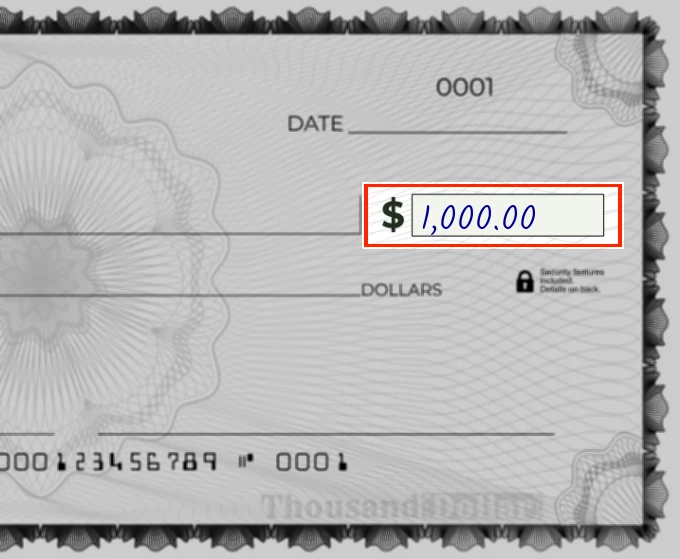 How to Write a Check for $1000? One Thousand Dollars in Check